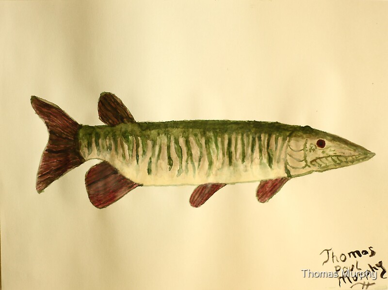 Musky: Art Prints | Redbubble