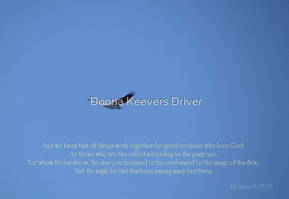 "Romans 8:28,29" by Donna Keevers Driver | Redbubble