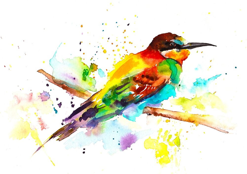 "Merops Apiaster" by IsabelSalvador | Redbubble