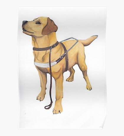Service Dog Posters | Redbubble