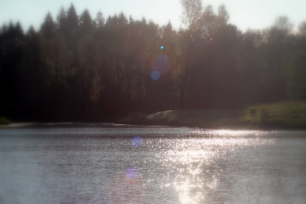 "view across Trojan pond, near Goble, Oregon with flare" by Dawna ...