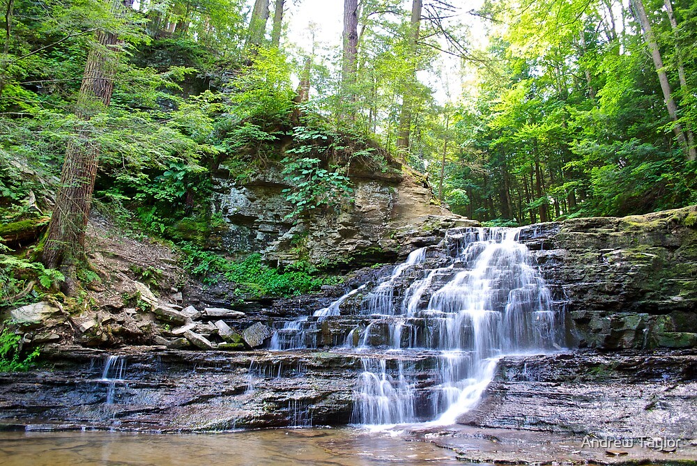 "Waterfall in Salt Spring State Park" by Andrew Taylor | Redbubble