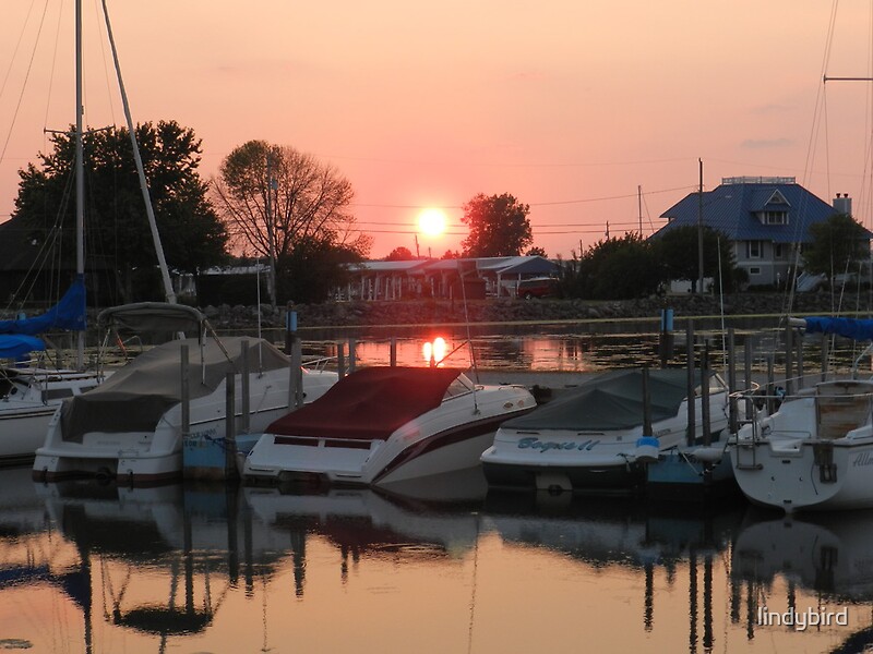 "Marblehead Harbor Sunset" by lindybird | Redbubble