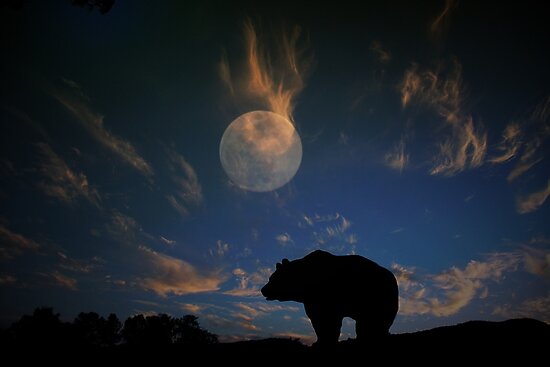 "Native American Bear and Full Moon" Photographic Print by LazyL ...