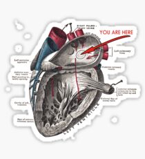 You Are Here: Stickers | Redbubble