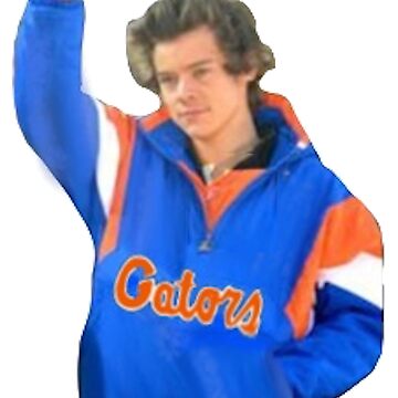 "harry gator boy" Sticker for Sale by delilahrap | Redbubble