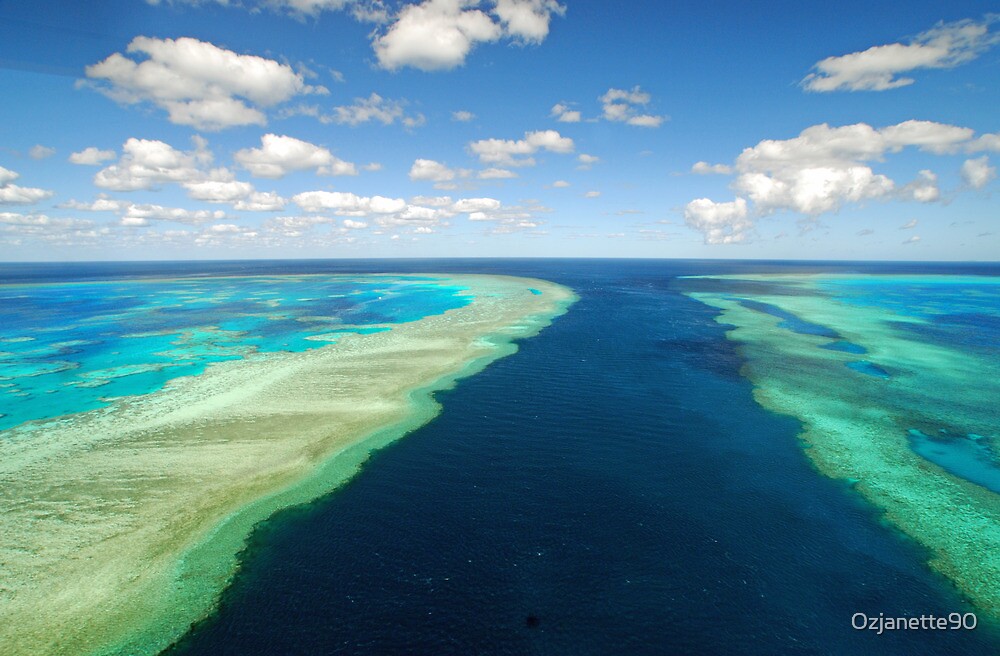 "Hook and Hardy Reef Great Barrier Reef" by Jan Rodgers | Redbubble