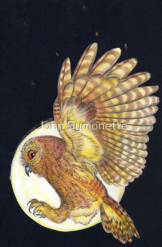 "Owl in the moon drawing" by John Symonette | Redbubble