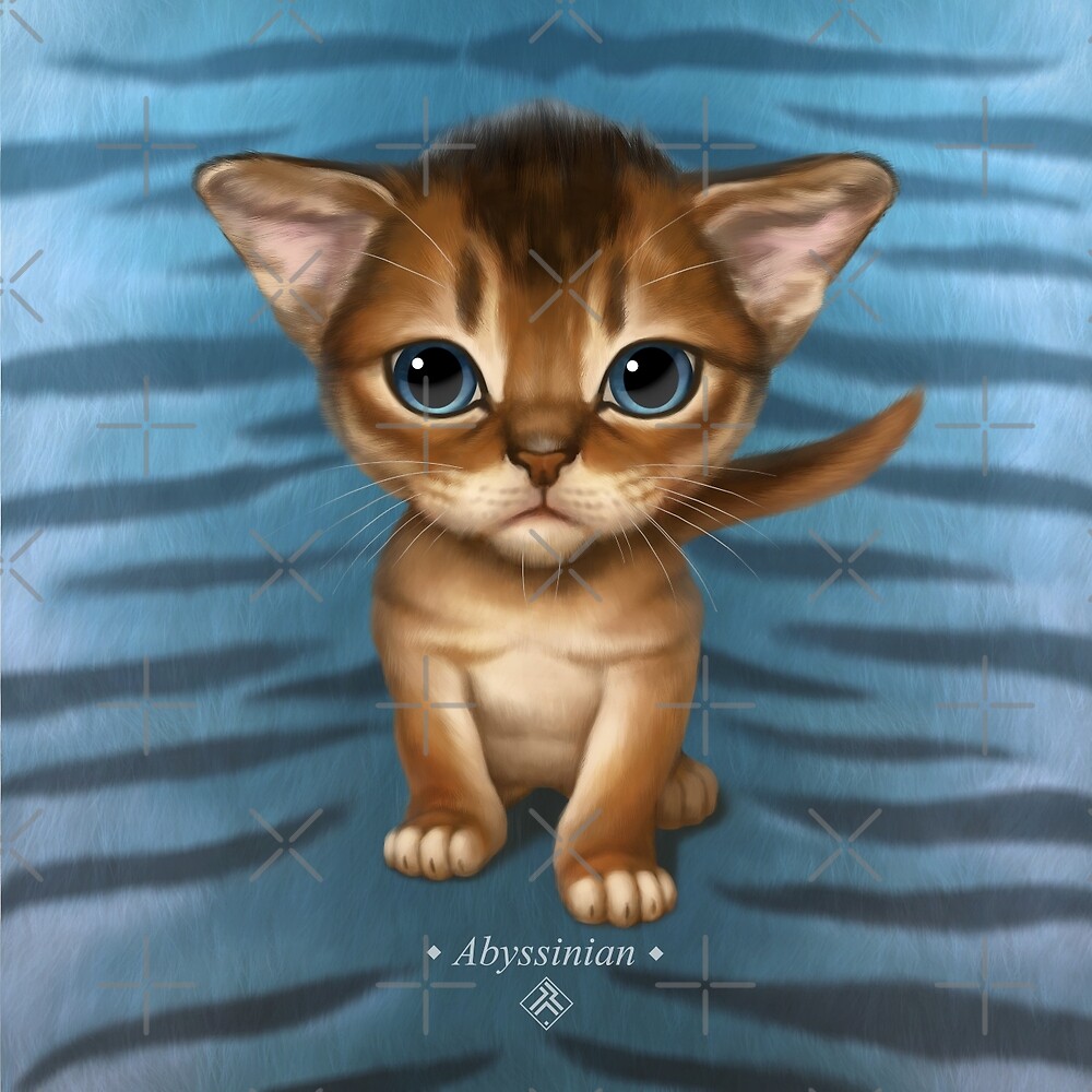 "Cat-a-clysm: Abyssinian kitten, blue tiger pattern." by Iker Paz ...