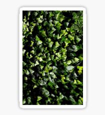 Poison Ivy: Stickers | Redbubble