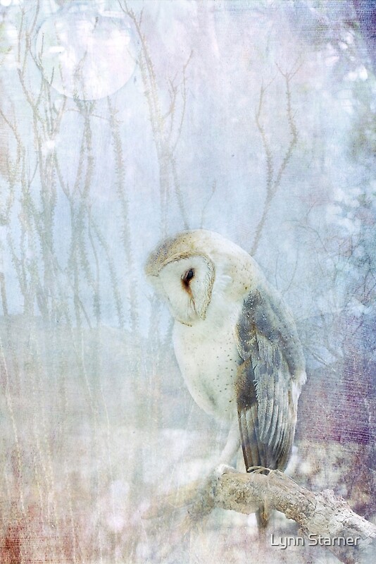 "Ghost Owl" by Lynn Starner | Redbubble