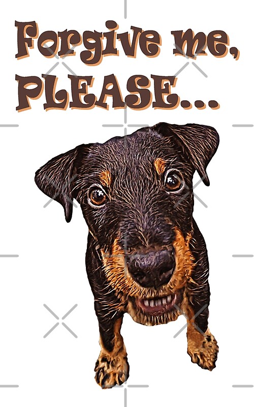 "A puppy dog looking with hope at you" by helenkaiy | Redbubble