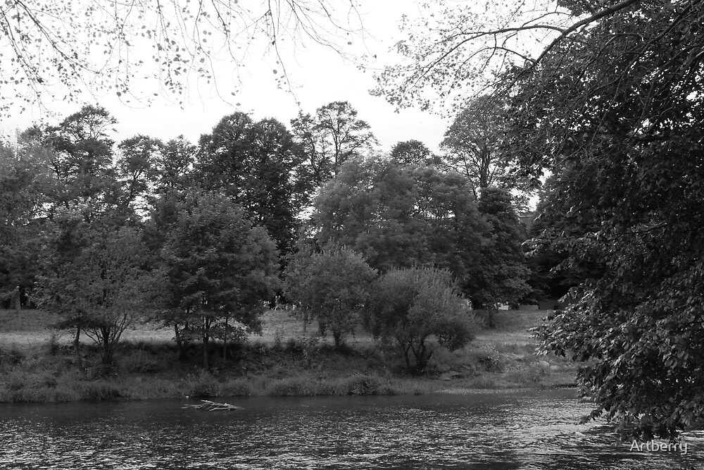 "River Taff at Bute Park, Cardiff - BW" by Artberry | Redbubble