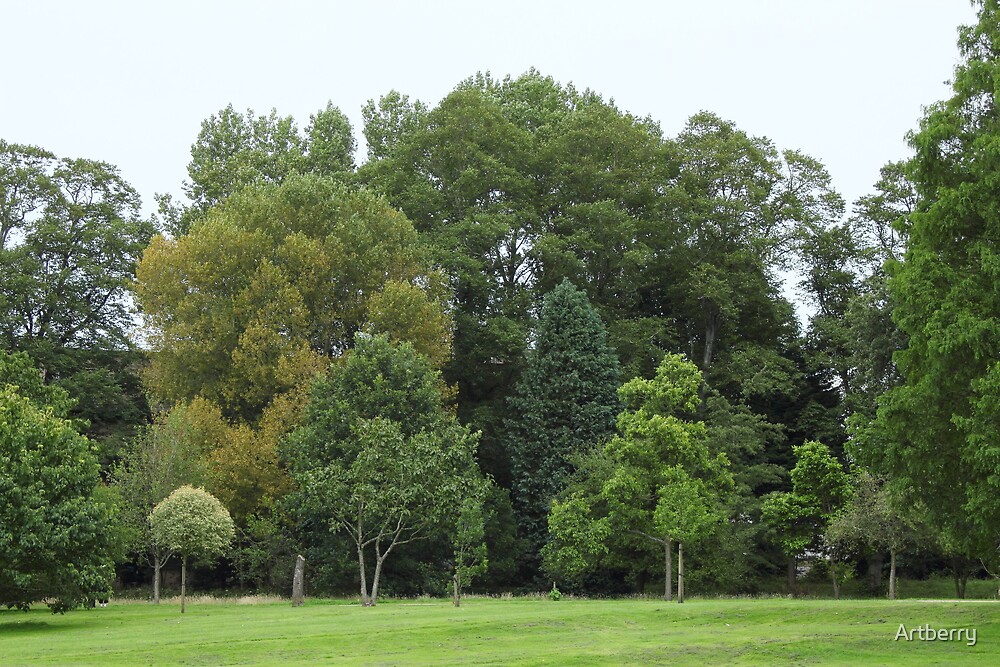 "Trees at Bute Park, Cardiff " by Artberry | Redbubble