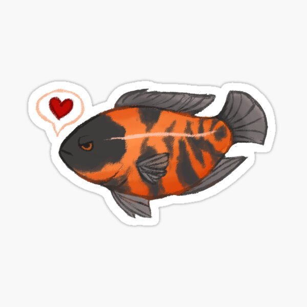 Oscar Fish Gifts & Merchandise | Redbubble