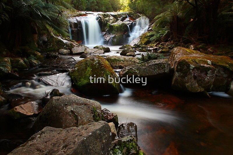 "halls falls, the blue tier. northeast tasmania" by tim buckley ...