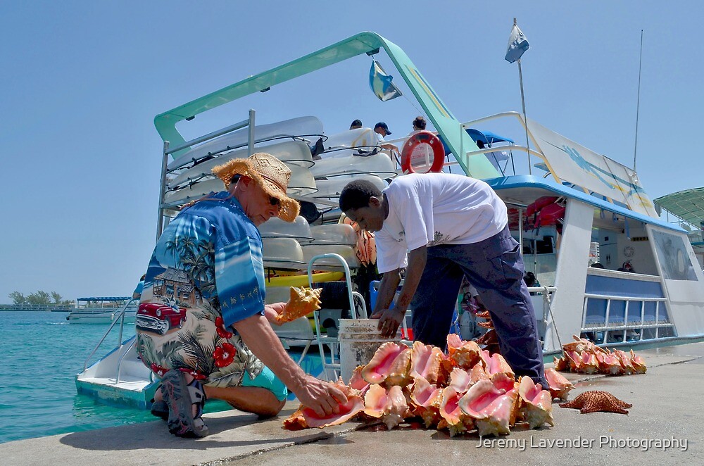 "Choosing a Conch Shell... Nassau, The Bahamas" by Jeremy Lavender ...