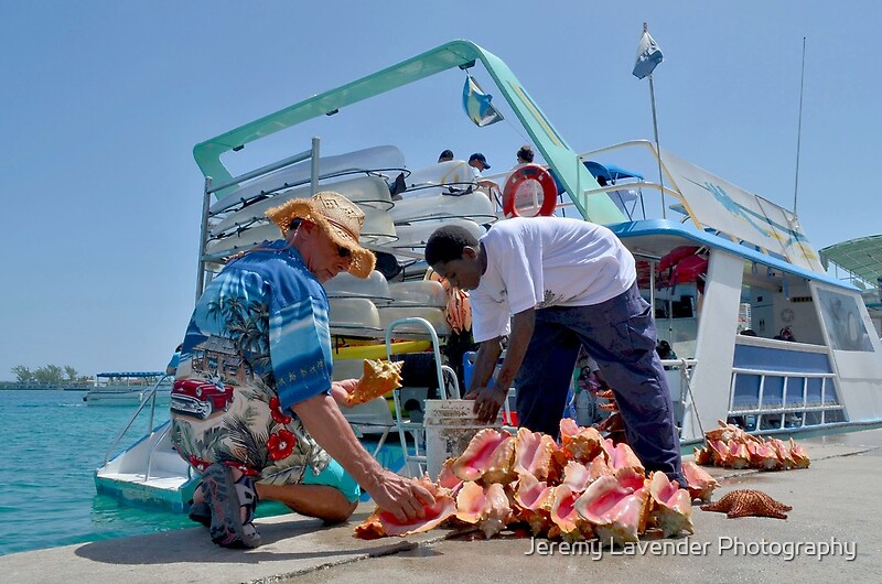 "Choosing a Conch Shell... Nassau, The Bahamas" by Jeremy Lavender ...