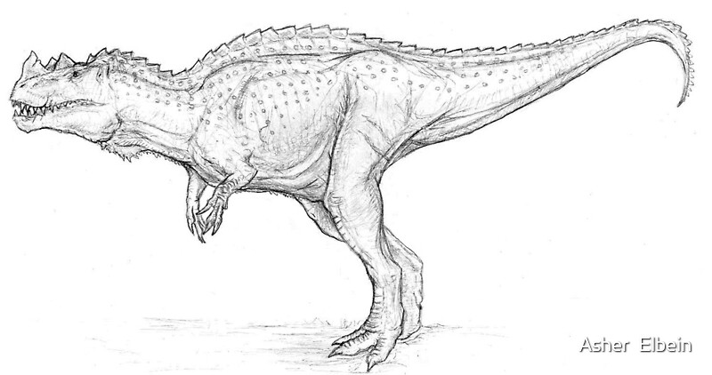 "Ceratosaurus Sketch" Greeting Cards by Asher Elbein | Redbubble