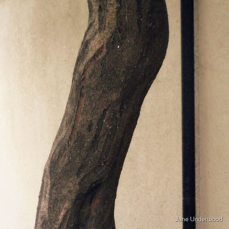 "Curvy Tree Trunk" by Jane Underwood | Redbubble