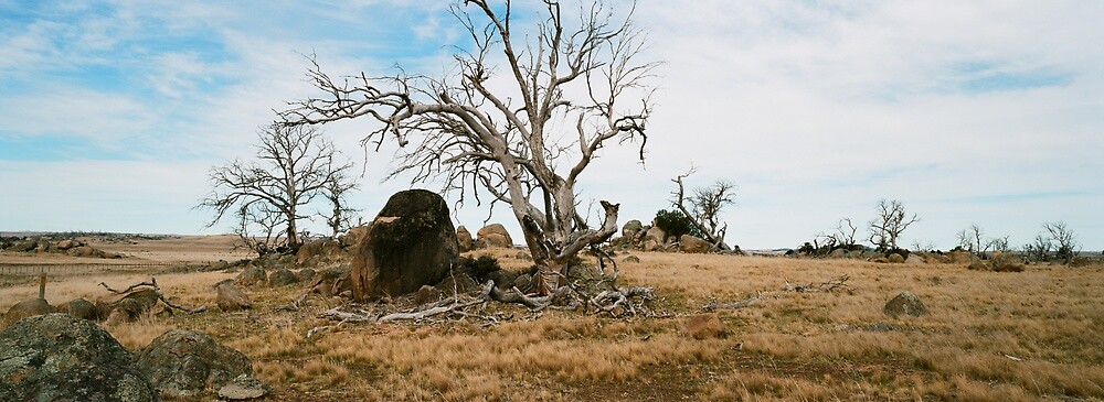"Berridale Boulders 2, New South Wales" by SkyPhotos | Redbubble