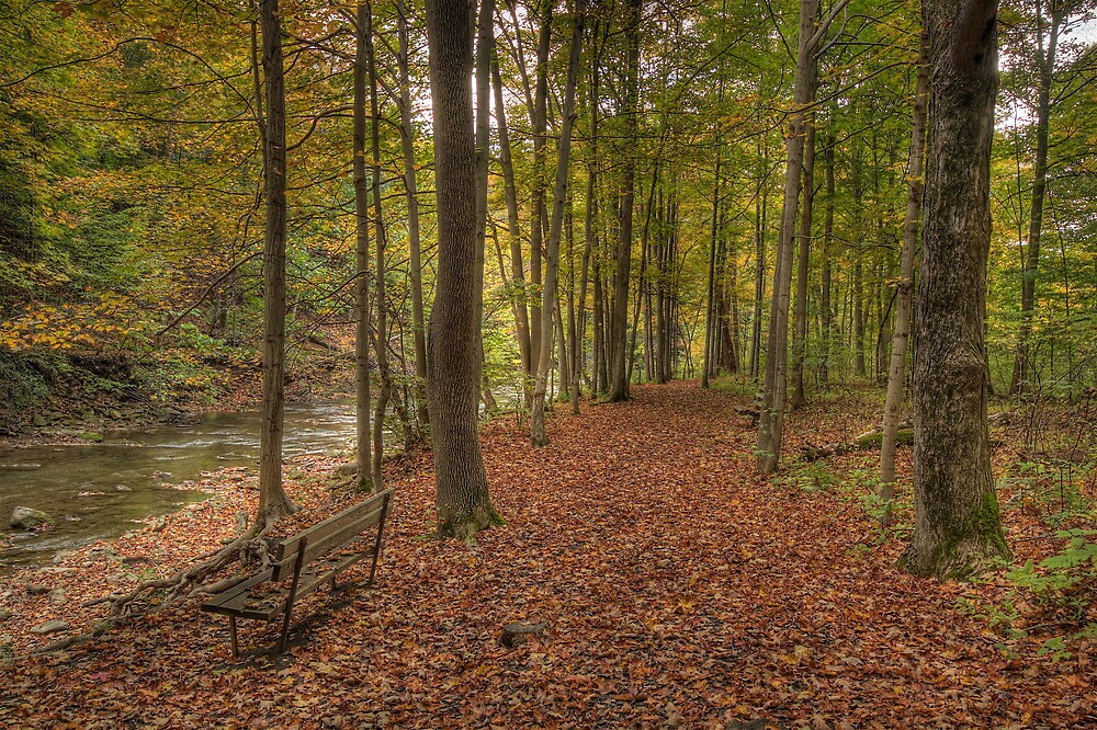 "Mill Run Park, Manlius, NY Image 2" by Edith Reynolds | Redbubble