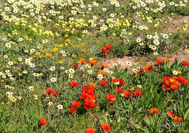 "Dis heerlike lente...!" by Rina Greeff | Redbubble