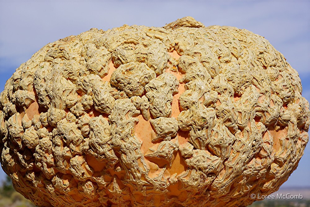 "Lumpy Bumpy Pumpkin" by © Loree McComb | Redbubble