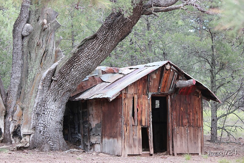 "Old Miner's Shack" by Jazzy724 | Redbubble
