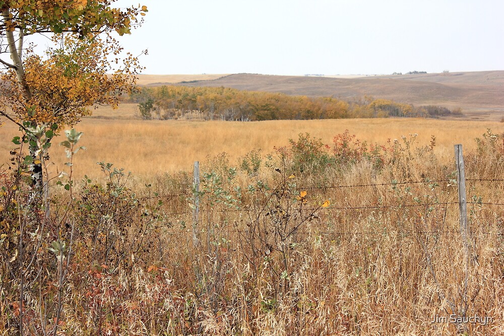"Alberta Prairie Farmland in Autumn" by Jim Sauchyn | Redbubble