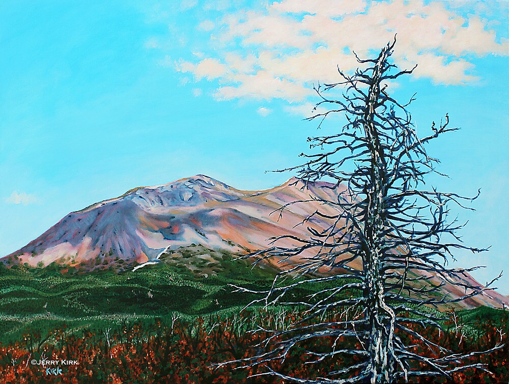 "'Ghost Tree' (Alaskan Nature Conservatory)" by Jerry Kirk | Redbubble