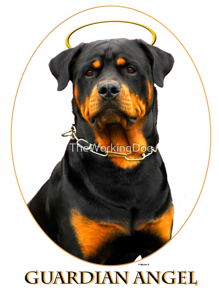 "Guardian Angel - Rottweiler" by TheWorkingDog | Redbubble