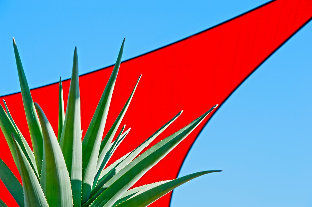 "Aloe 'Hercules'" by Dency Kane | Redbubble