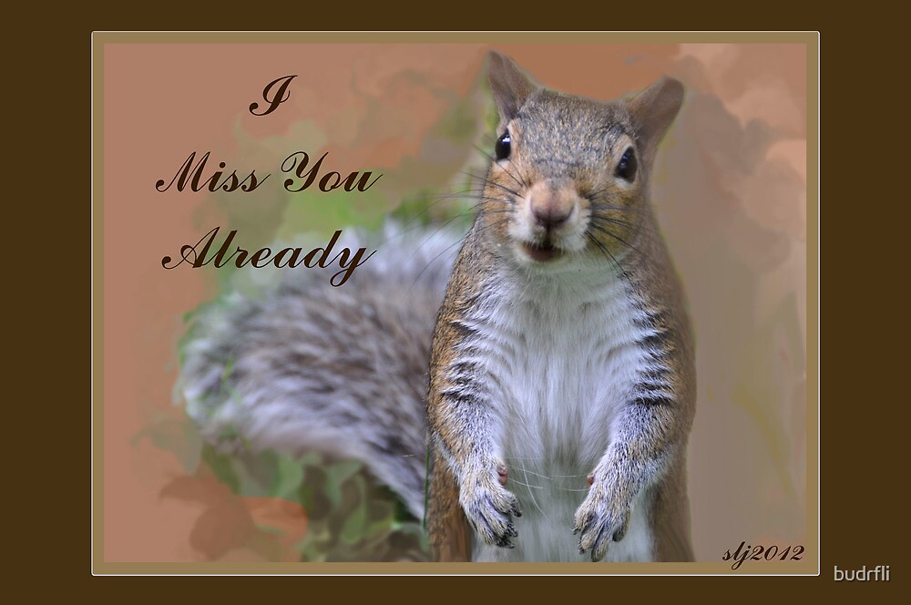 "Missing You Squirrel" by budrfli | Redbubble