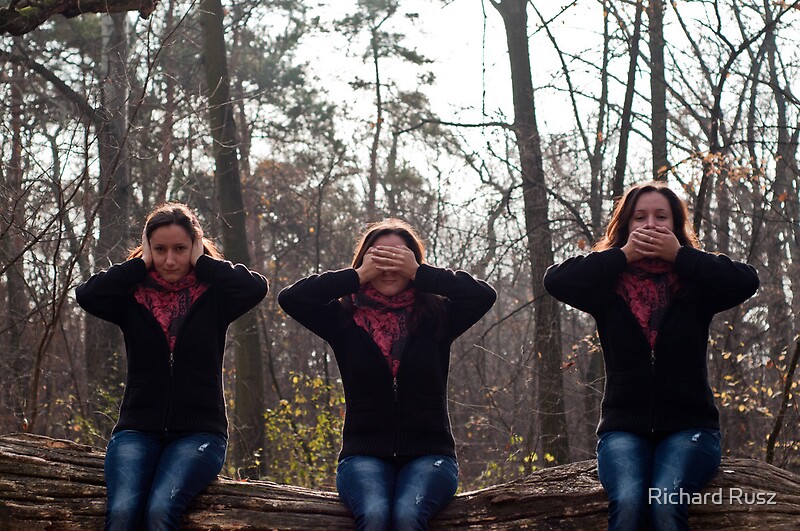 "The deaf, blind and the mute girl" by Richard Rusz | Redbubble