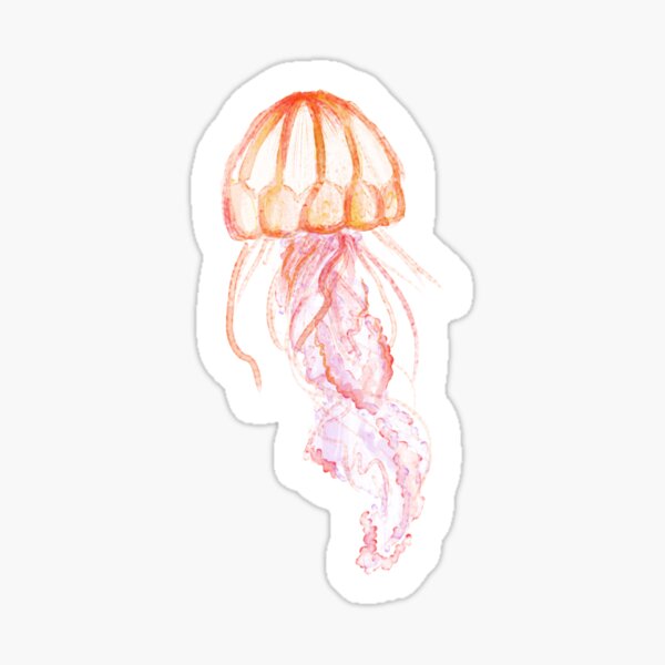 Sticker: Quallen | Redbubble