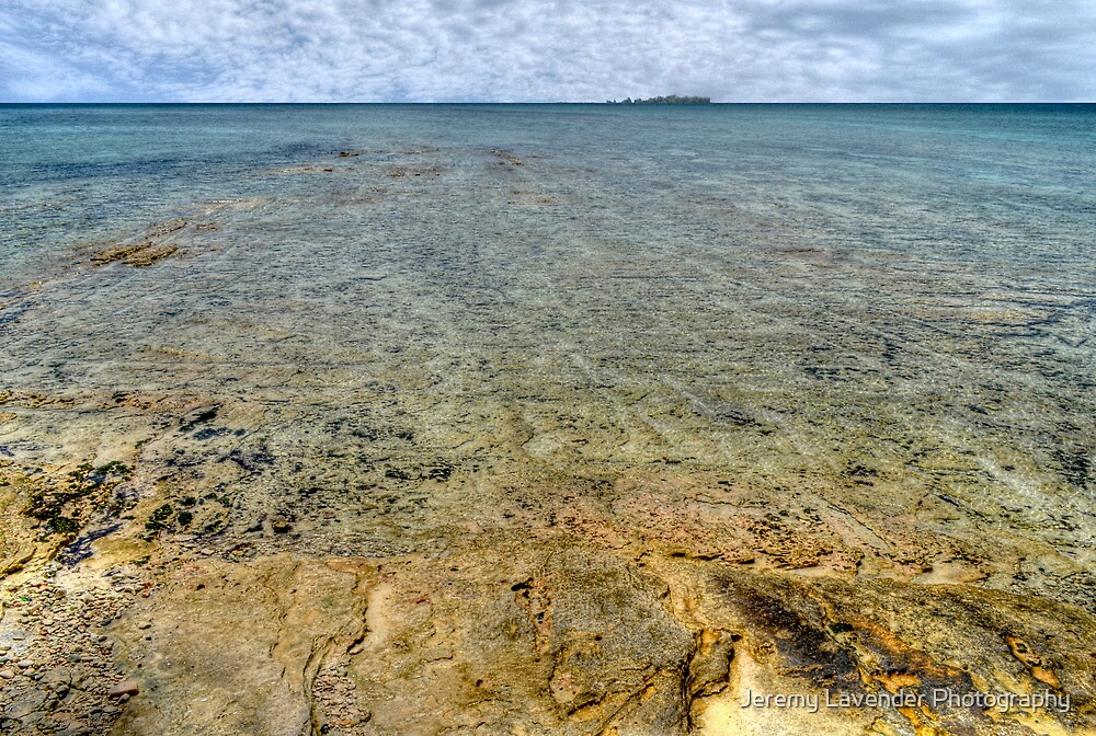 "Limestone at Yamacraw Beach in Nassau, The Bahamas" by Jeremy Lavender ...