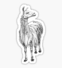 Llama: Stickers | Redbubble
