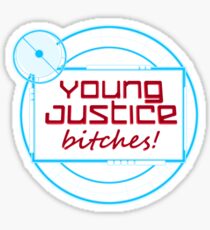 Young Justice: Stickers | Redbubble
