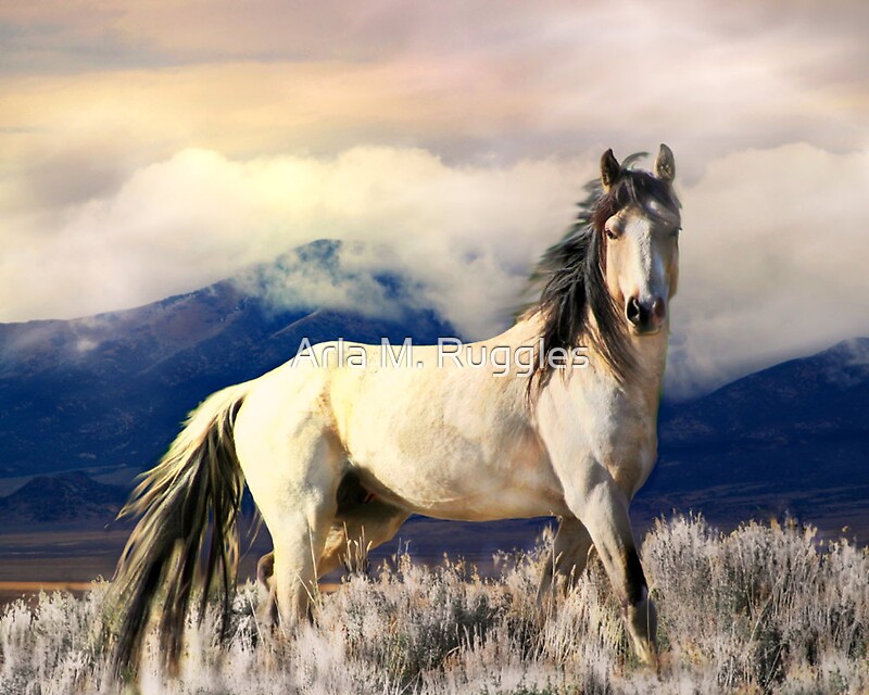 "Phantom" by Arla Ruggles | Redbubble