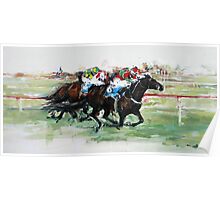 "Australian Racehorse, Proper Madam" by Nina Smart | Redbubble