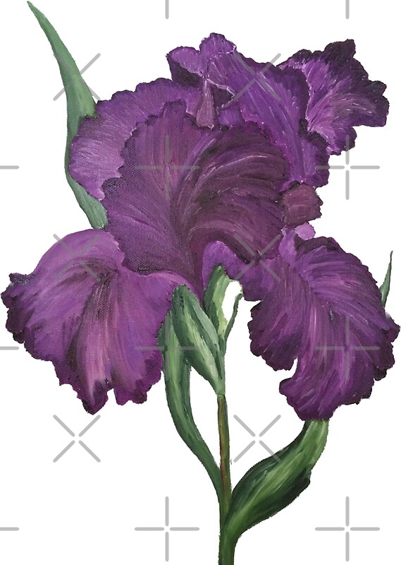 Iris: Stickers | Redbubble