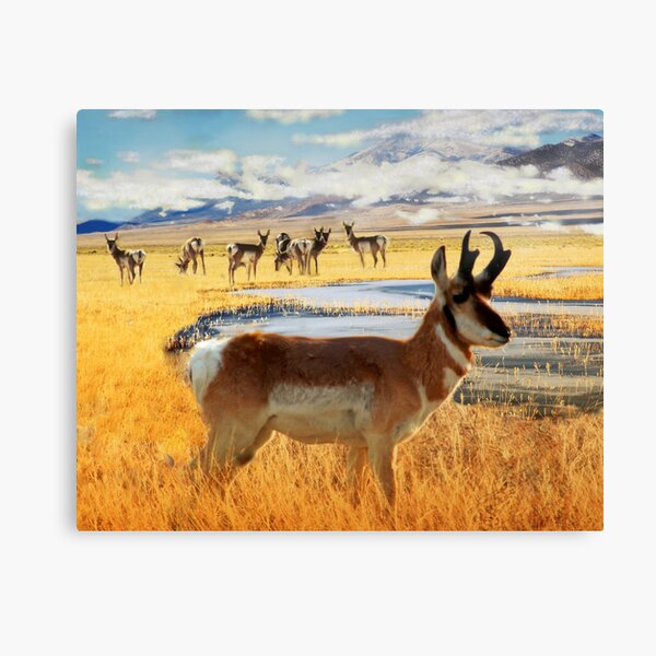 Arla Ruggles Shop | Redbubble