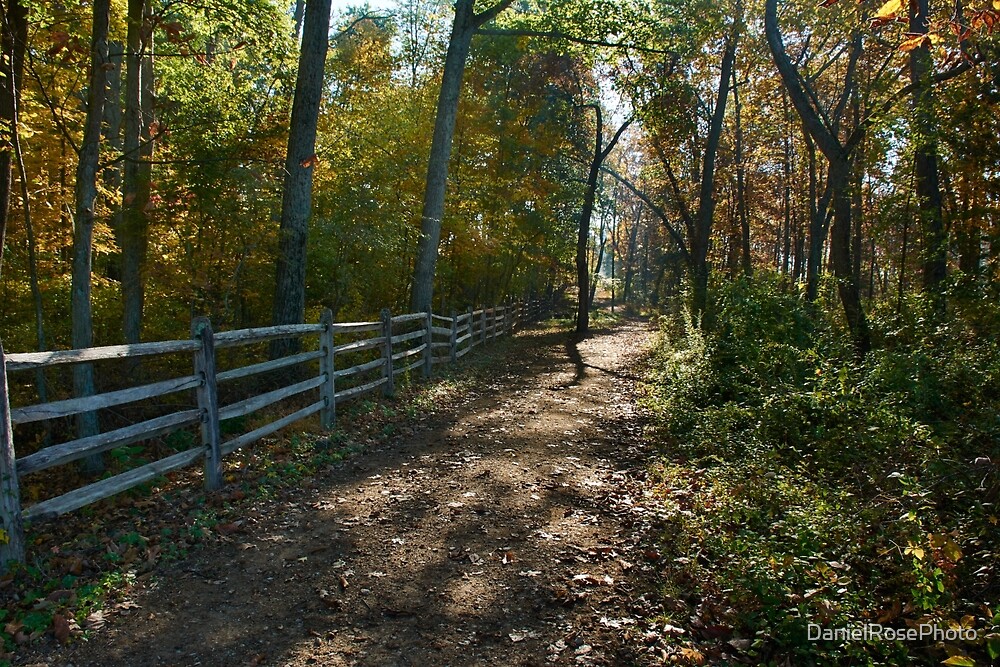"Gettysburg National Park - Fall Leaves" by DanielRosePhoto | Redbubble