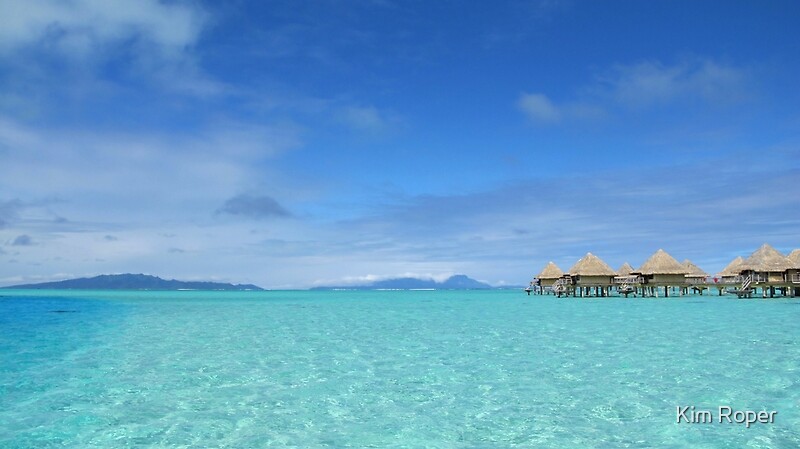 "Blue Paradise" by Kim Roper | Redbubble