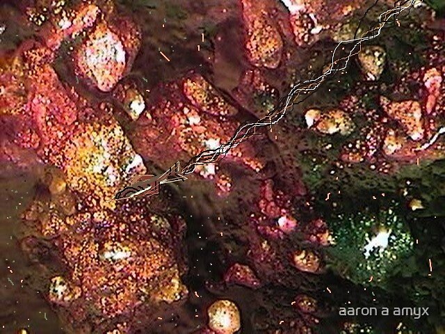 "Galaxy Meteorite (after amoxenyte imitational coral) w/Jet" by aaron a ...