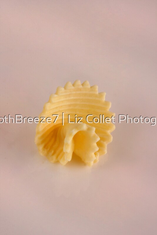 "Funghini" by SmoothBreeze7 | Redbubble