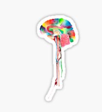 Brain Stickers | Redbubble
