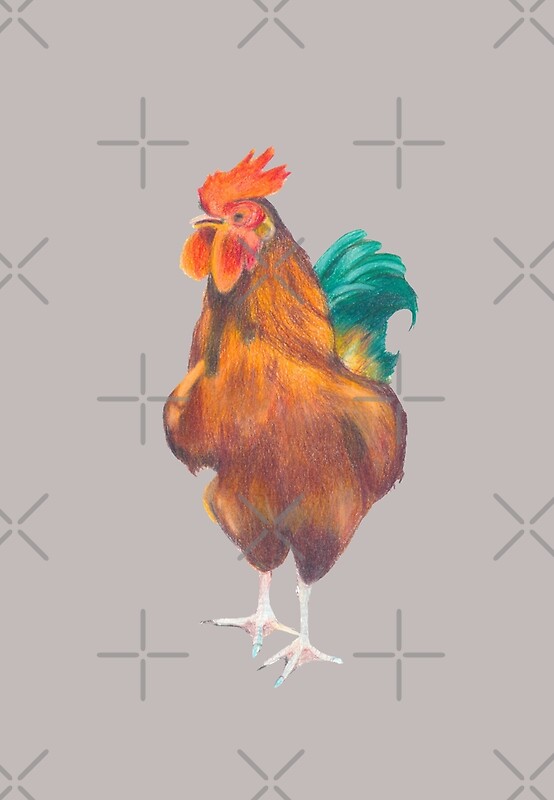 "Rooster on Light Grey" by STHoganArtist | Redbubble
