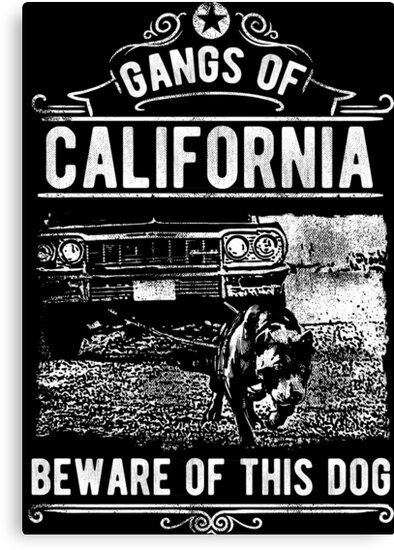 "Gangs Of California" Canvas Print by wudeyu | Redbubble
